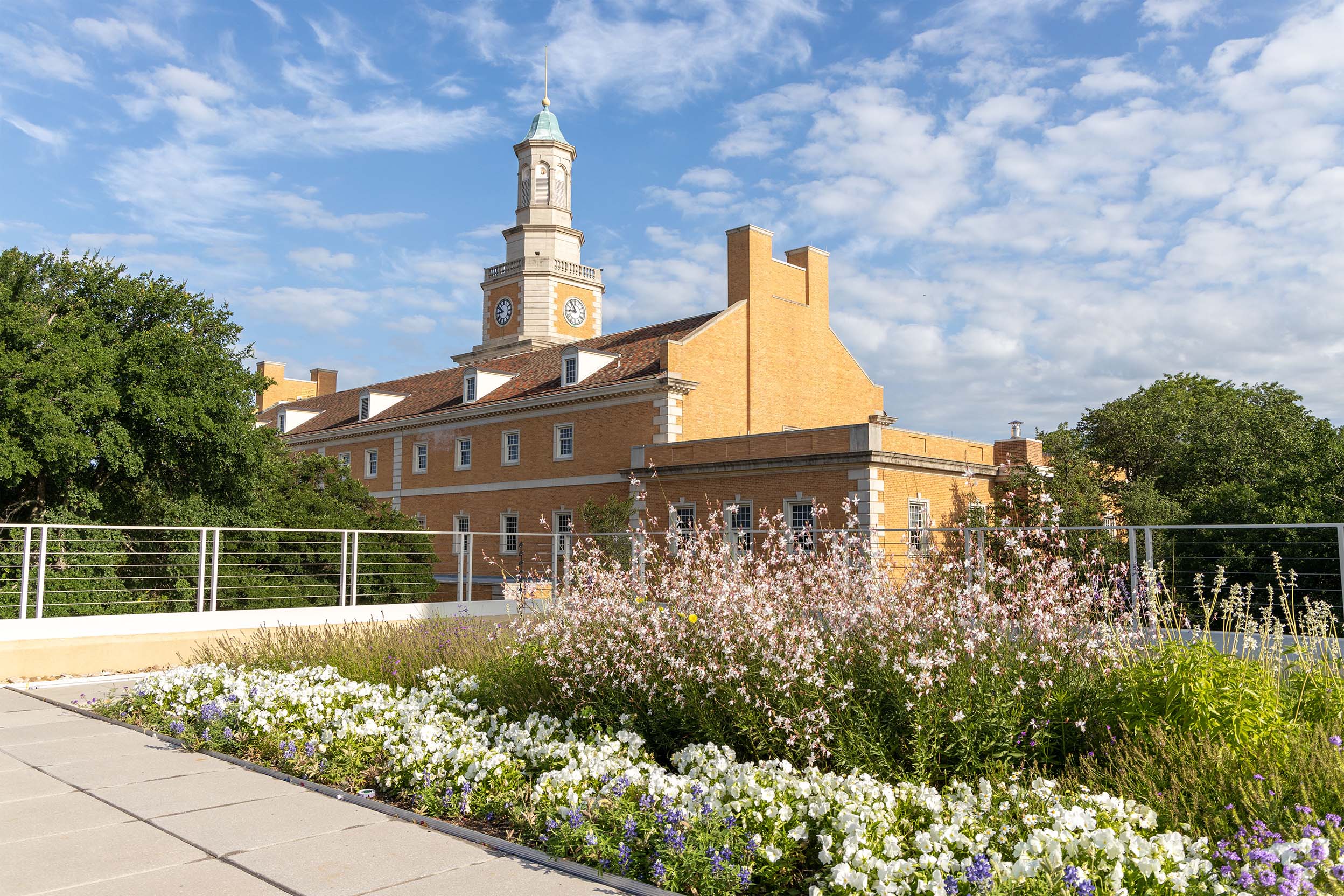 Rooftop Garden and Patio | University of North Texas